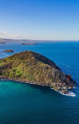 Explore Victor Harbor | Visit Victor Harbor