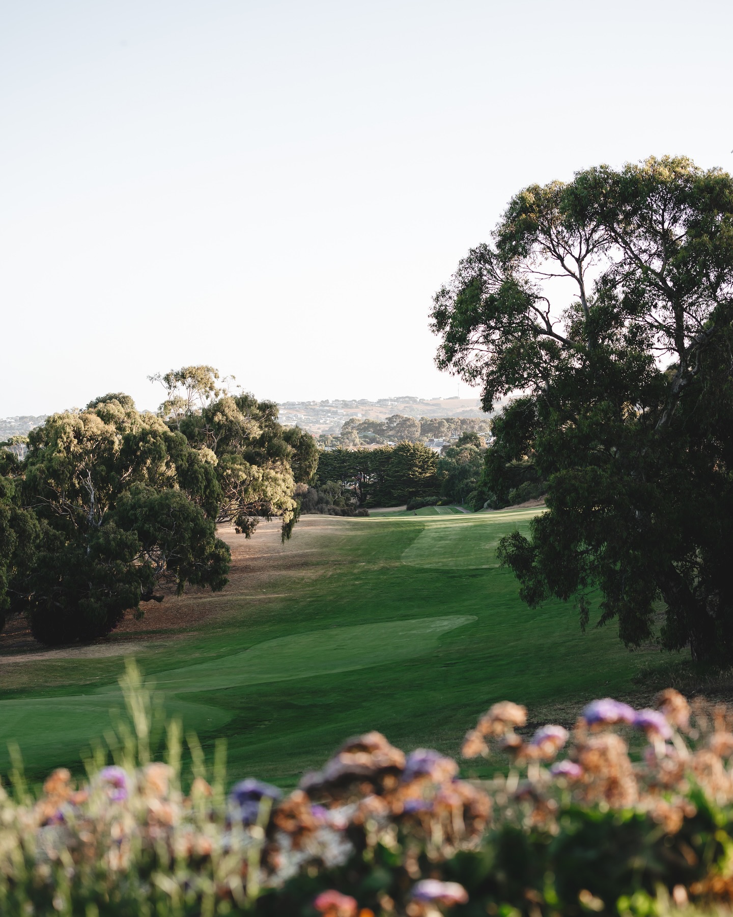 4ORE - Victor Harbor Golf Club | Visit Victor Harbor