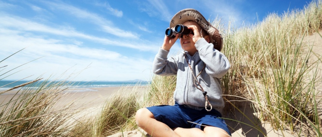 A simple guide to wildlife encounters in Victor Harbor | Victor Harbor